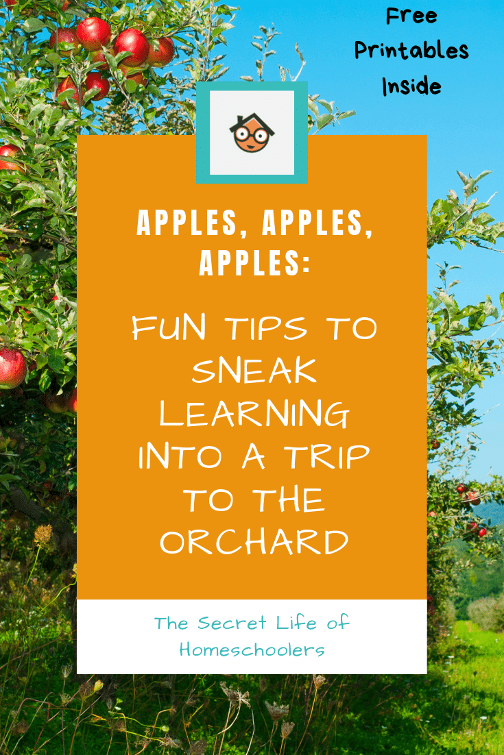 Apples, Apples, Apples: Fun Tips to Sneak Learning into a Trip to the ...
