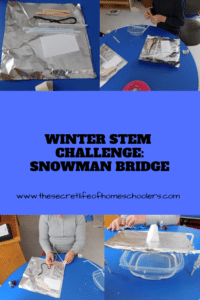 Winter STEM Challenge: Snowman Bridge