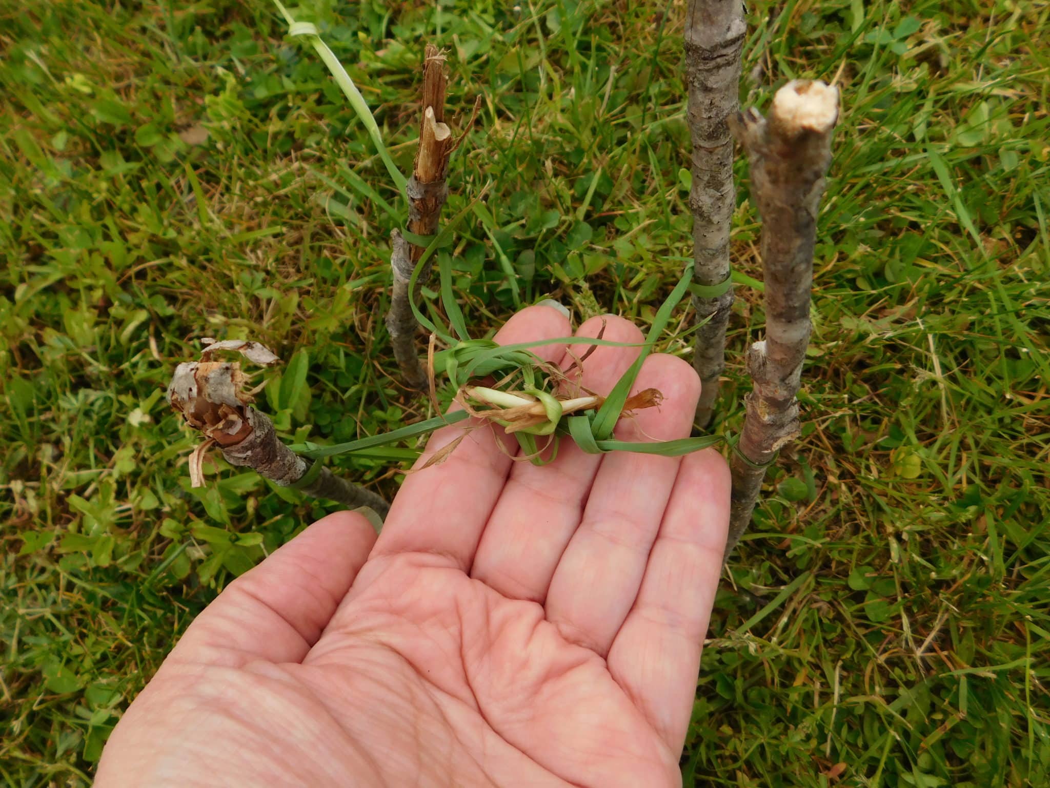 The STEM Hammock Challenge: A Great Outdoor Activity