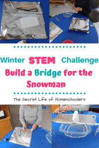 Winter STEM Challenge: Snowman Bridge