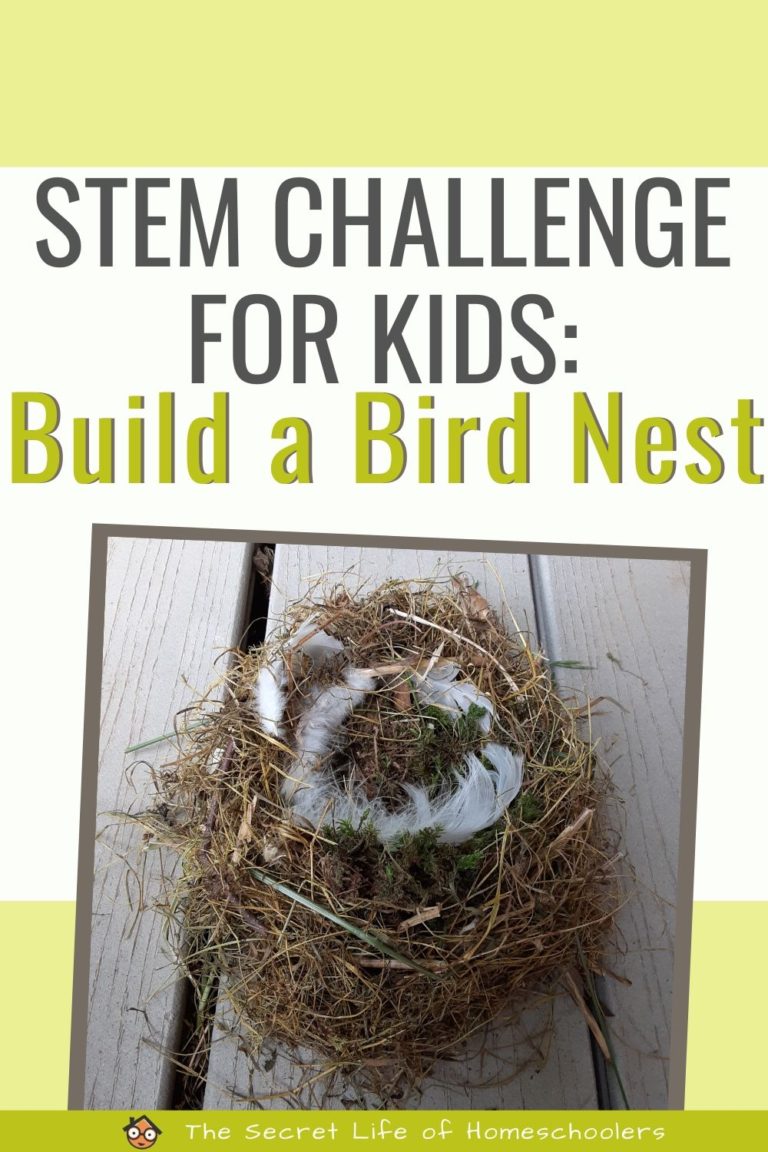 STEM Challenge for Kids: Build a Bird Nest - The Secret Life of ...