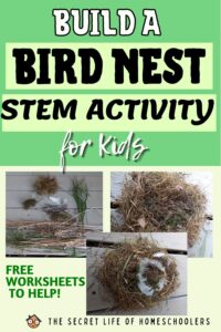STEM Challenge for Kids: Build a Bird Nest - The Secret Life of ...