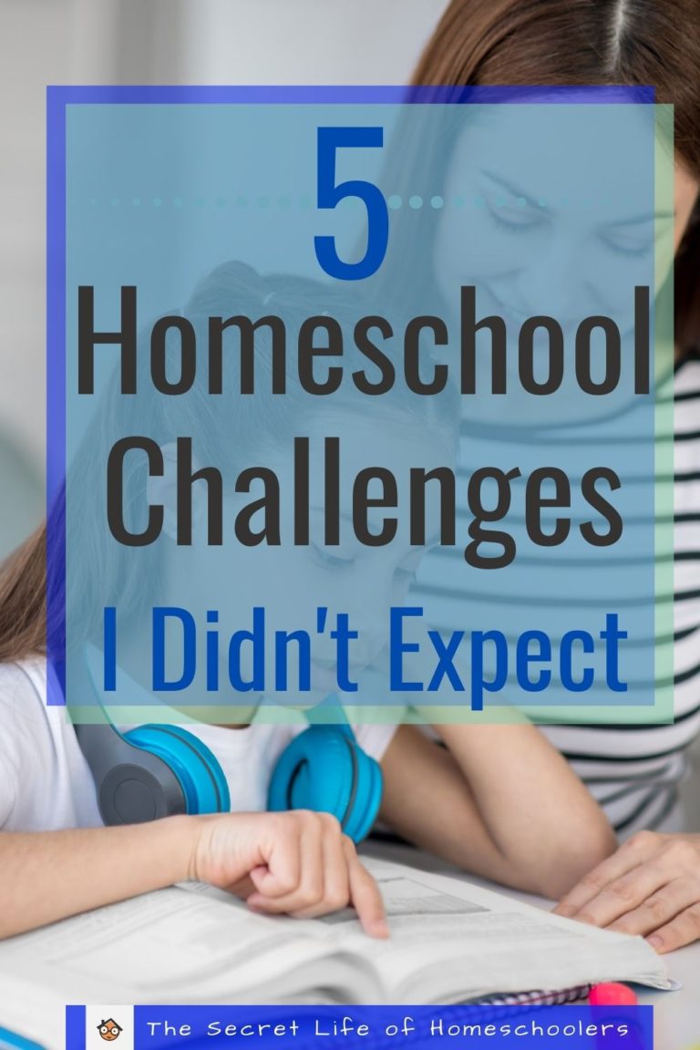 5 Challenges of Homeschooling I Didn't Expect
