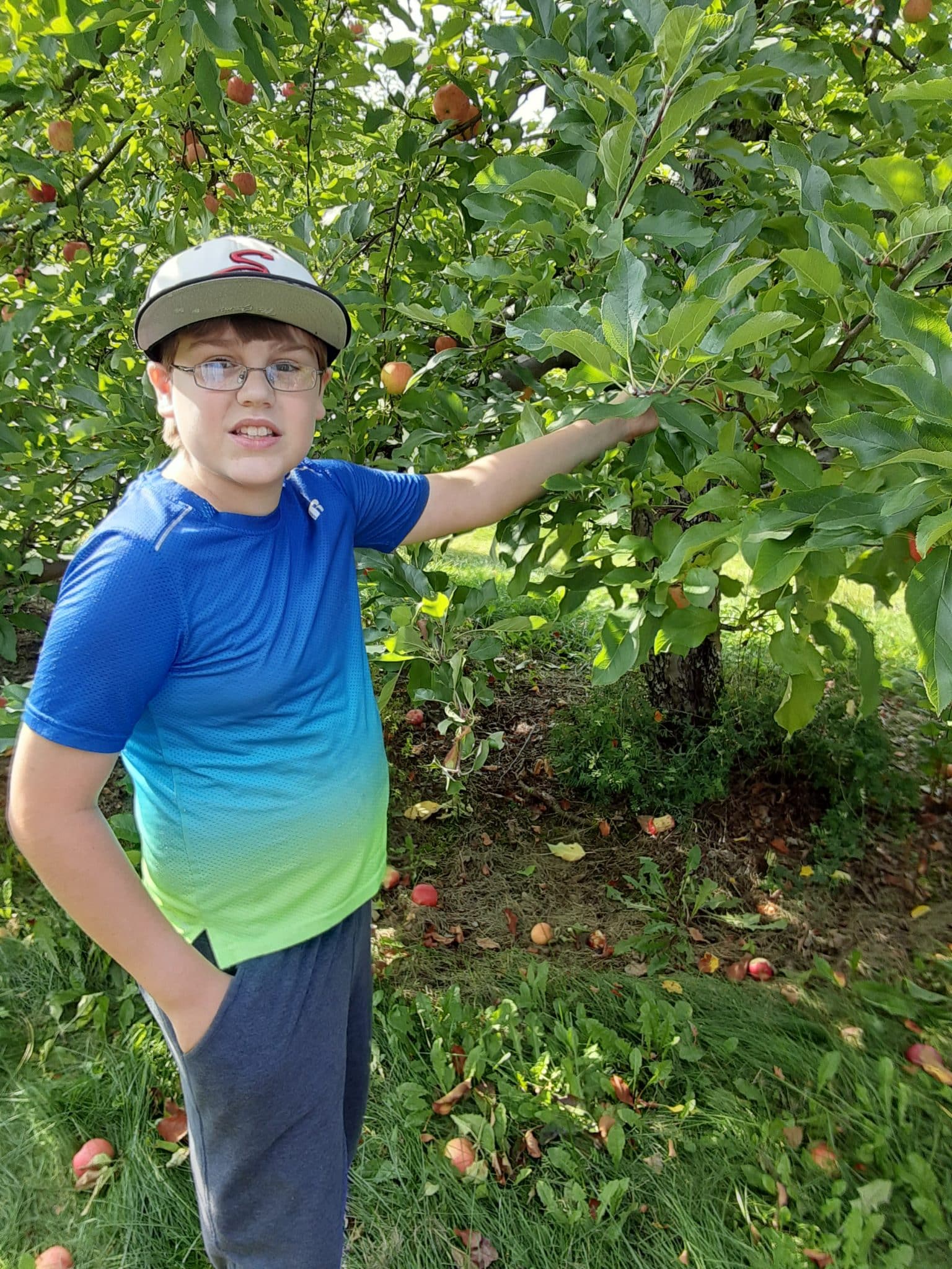 Apple Picking Time {Wordless Wednesday} - The Secret Life of Homeschoolers