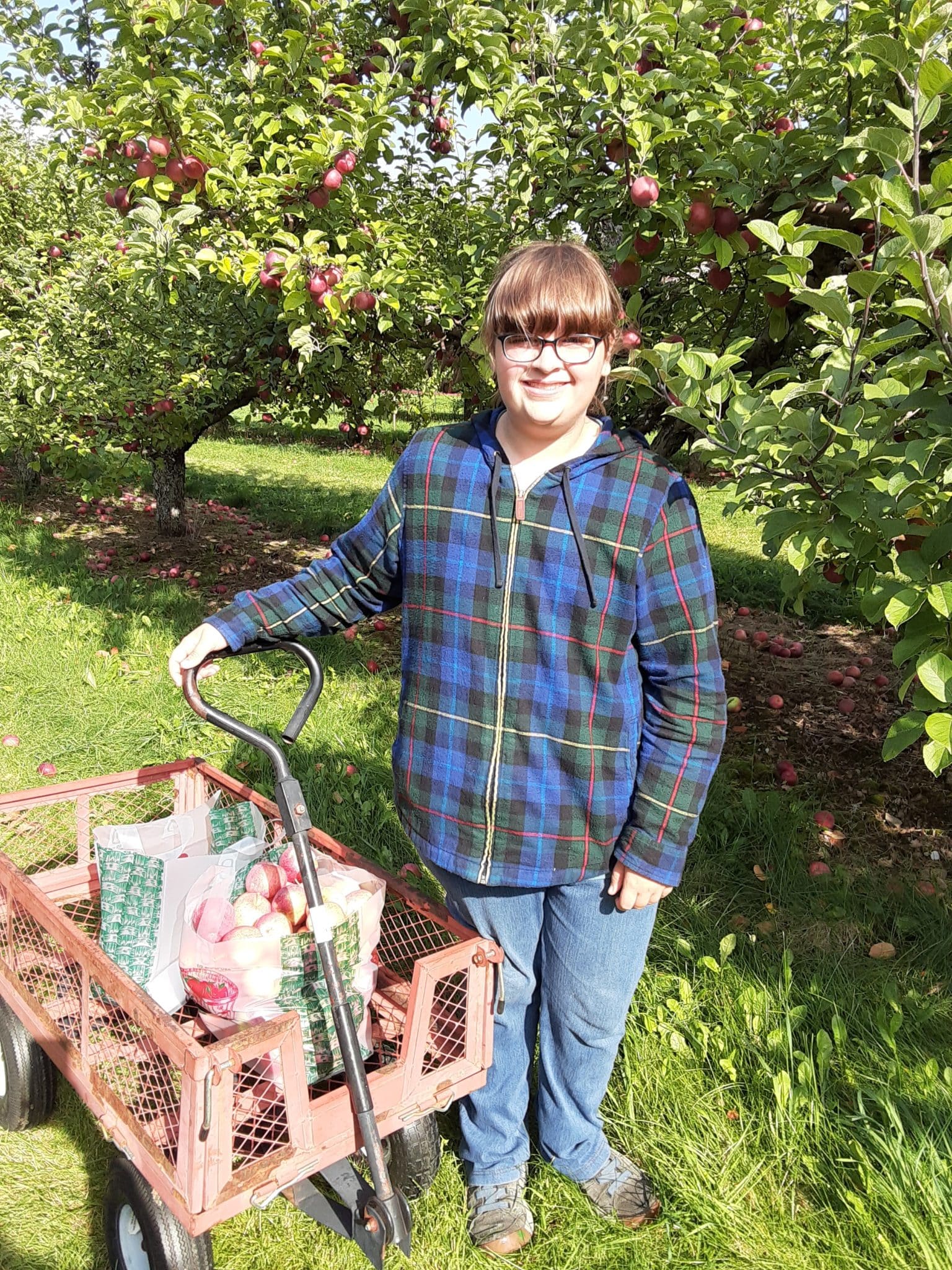 Apple Picking Time {Wordless Wednesday} - The Secret Life of Homeschoolers