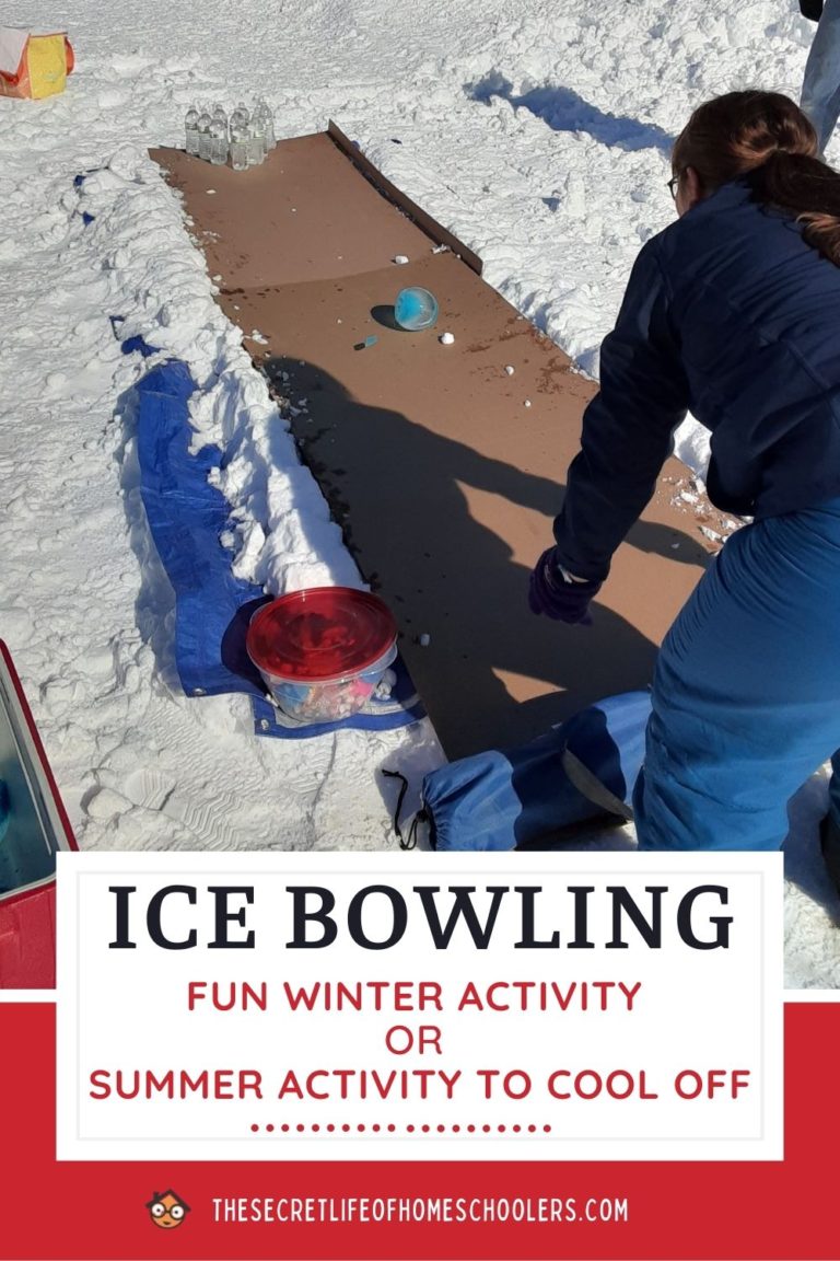 Ice Bowling: Super Fun Winter (Or Beat the Heat) Activity for Kids ...