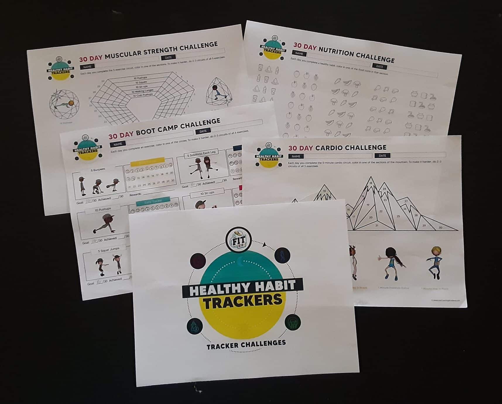 Include PE Activities in Your Homeschool with Easy-to-Use Healthy Habit ...