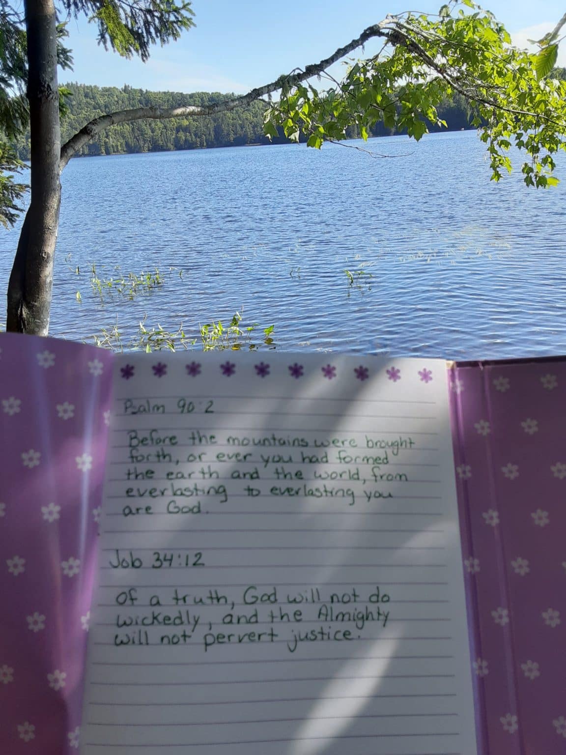 An Easy-to-Use Bible Memory Course with 14:6 The Way {A Review} - The ...