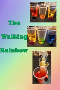 Rainbow Science Experiment They'll Love — Easy, Hands-On Learning for ...