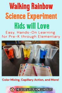 Rainbow Science Experiment They'll Love — Easy, Hands-On Learning for ...