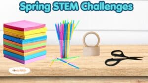 STEM Challenge for Kids: Build a Bird Nest - The Secret Life of ...